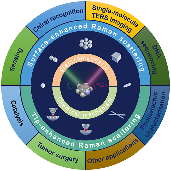 New Era of SERS and TERS Spectroscopy in the Nanometric Scale | Faculty ...